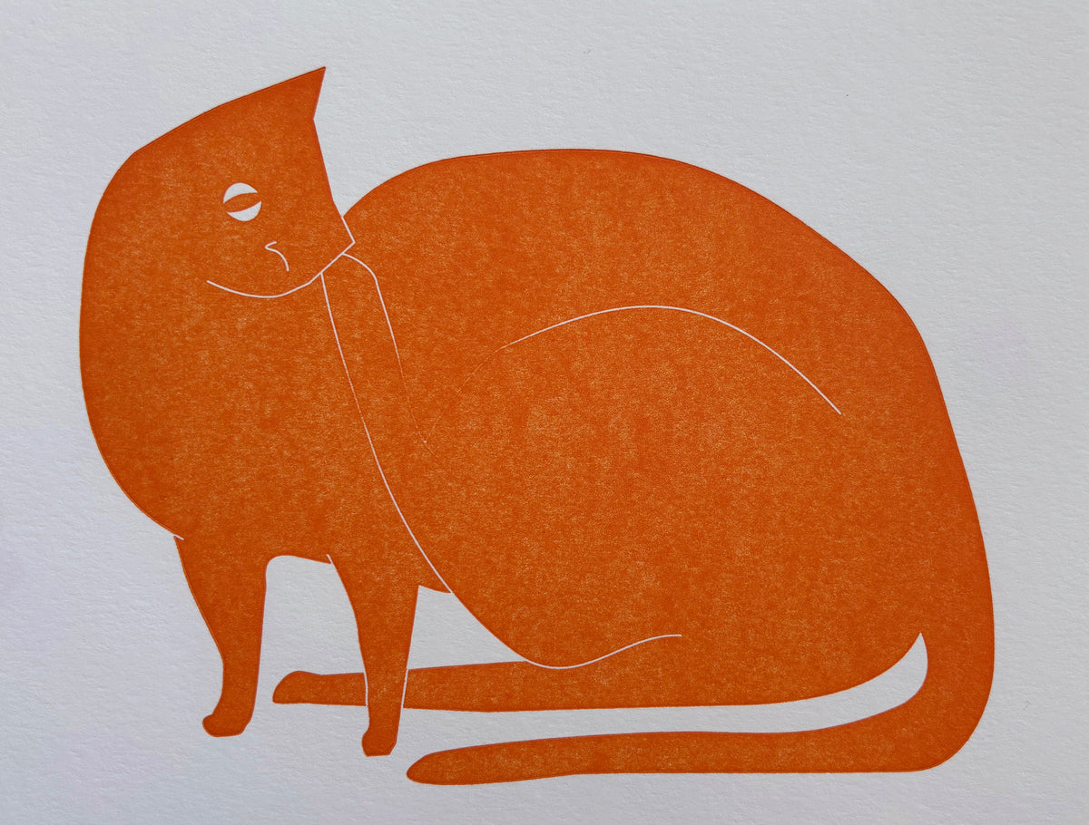 Archie's Cats - Multiple Colors! – Archie's Press