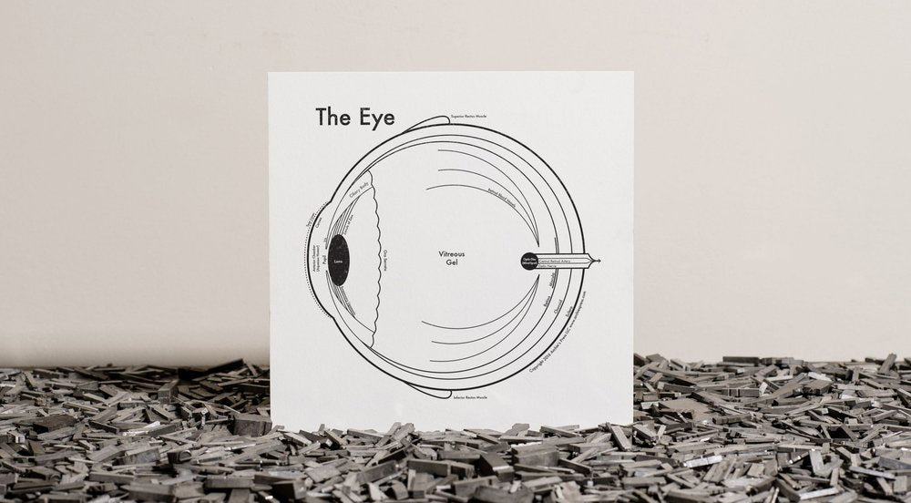The Eye Print – Archie's Press