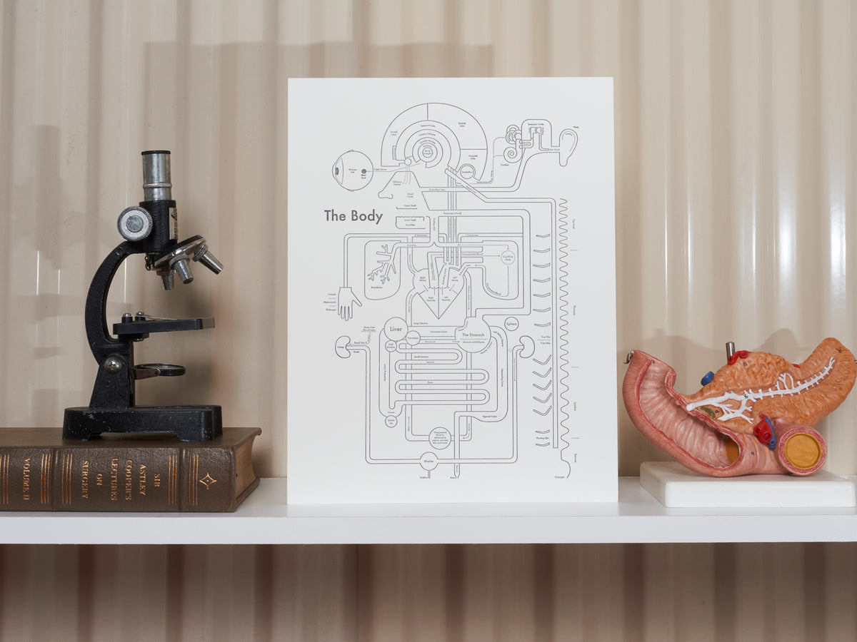 The Body Print – Archie's Press