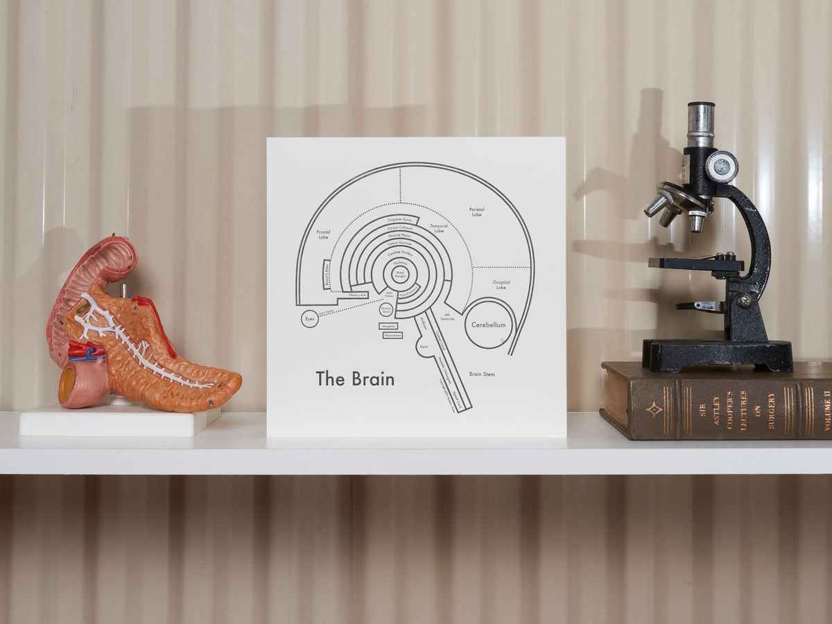The Brain Print – Archie's Press