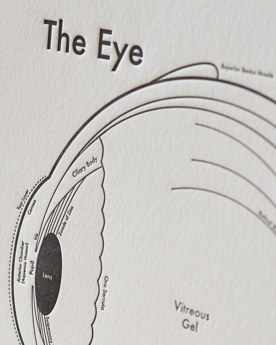 The Eye Print – Archie's Press