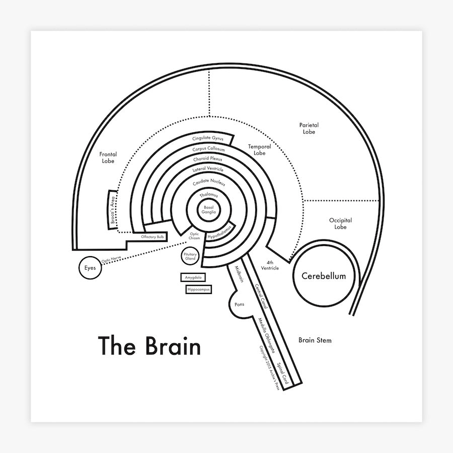 The Brain Print – Archie's Press